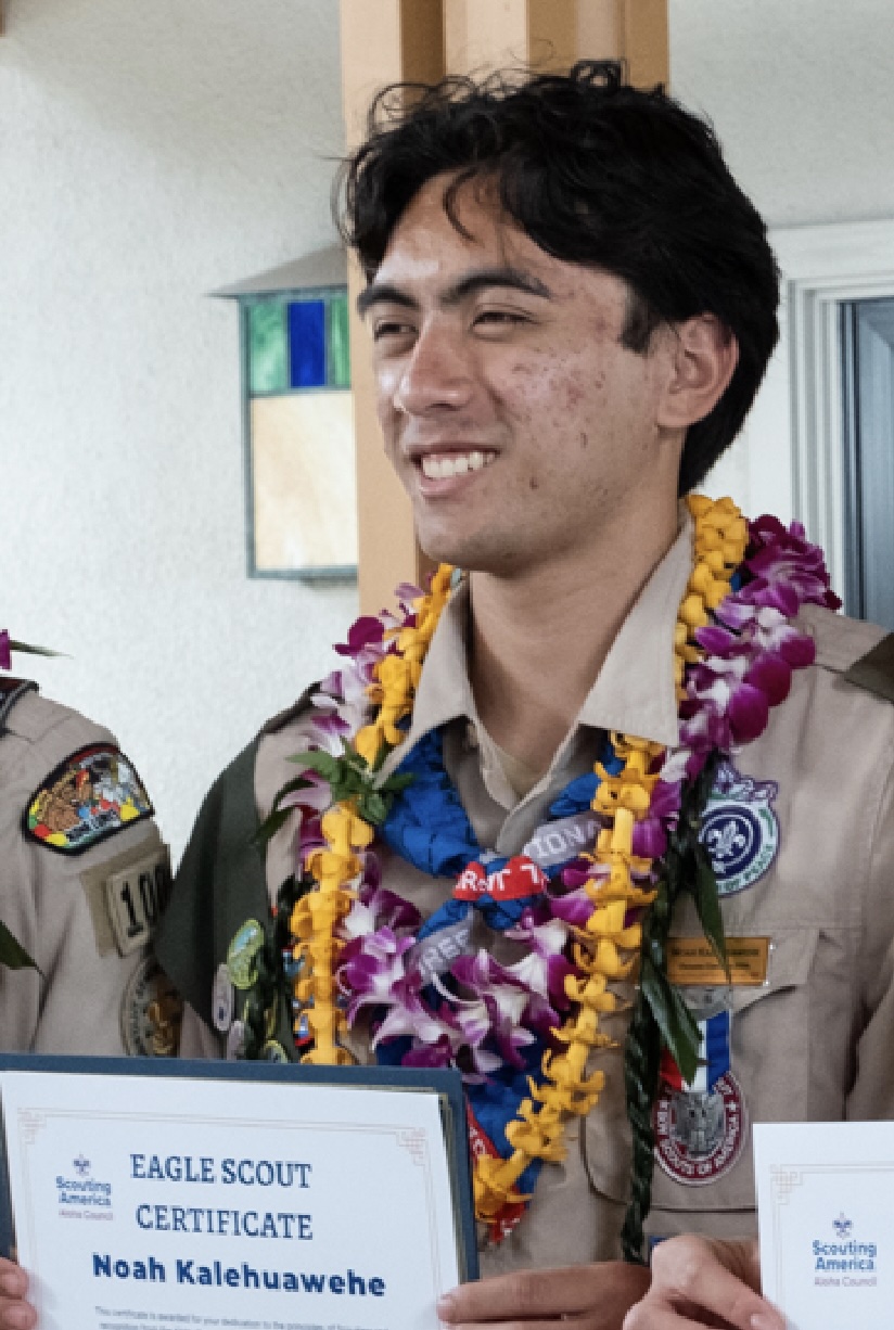 Makawao youth wins state Scouting award | News, Sports, Jobs - Maui News